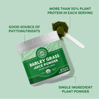 Nutritious greens powder for energy boost