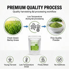 nutritious greens powder for smoothies