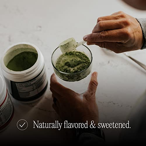 nutritious greens powder for wellness