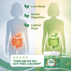 nutritious greens powders for energy boost