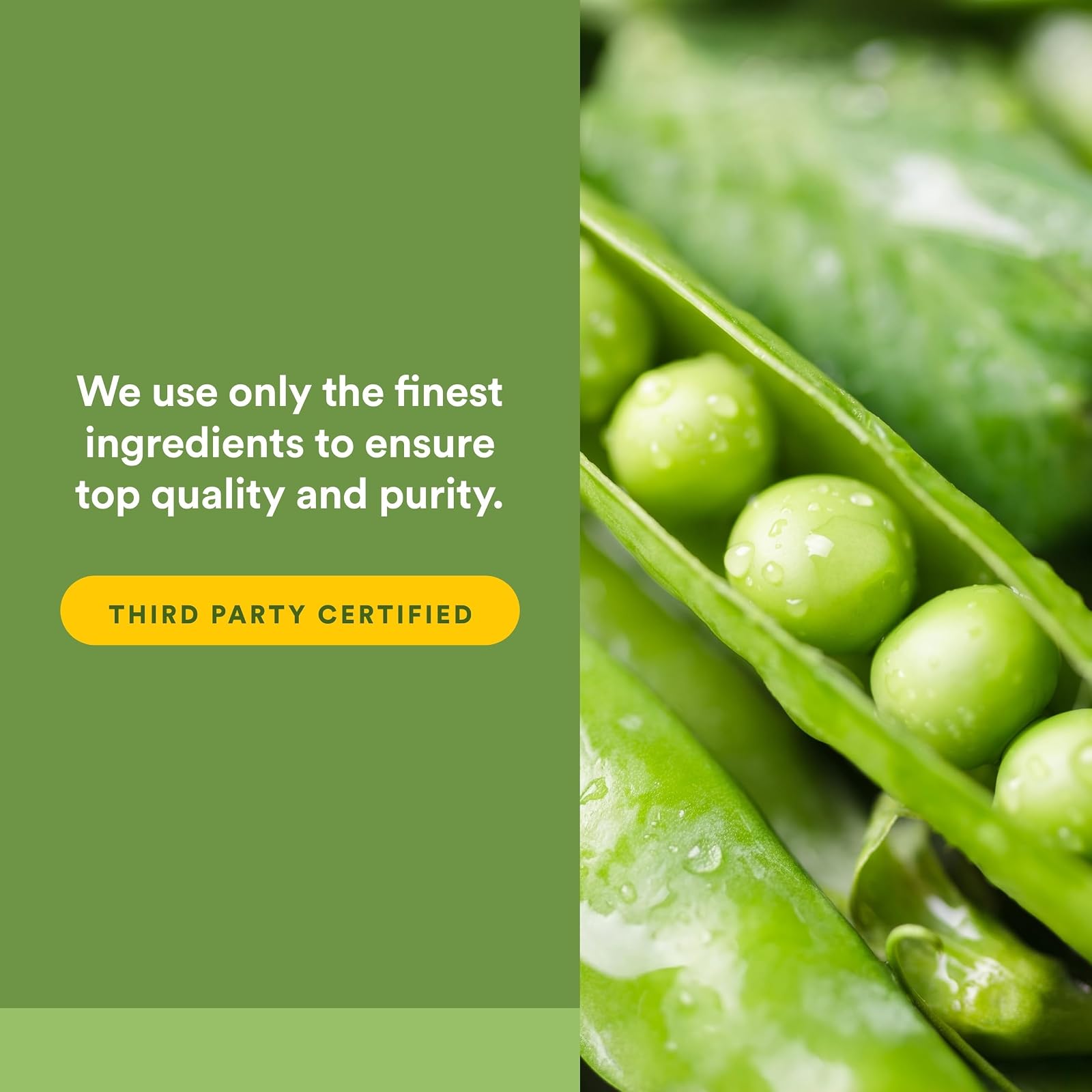 nutritious greens powders for energy boost