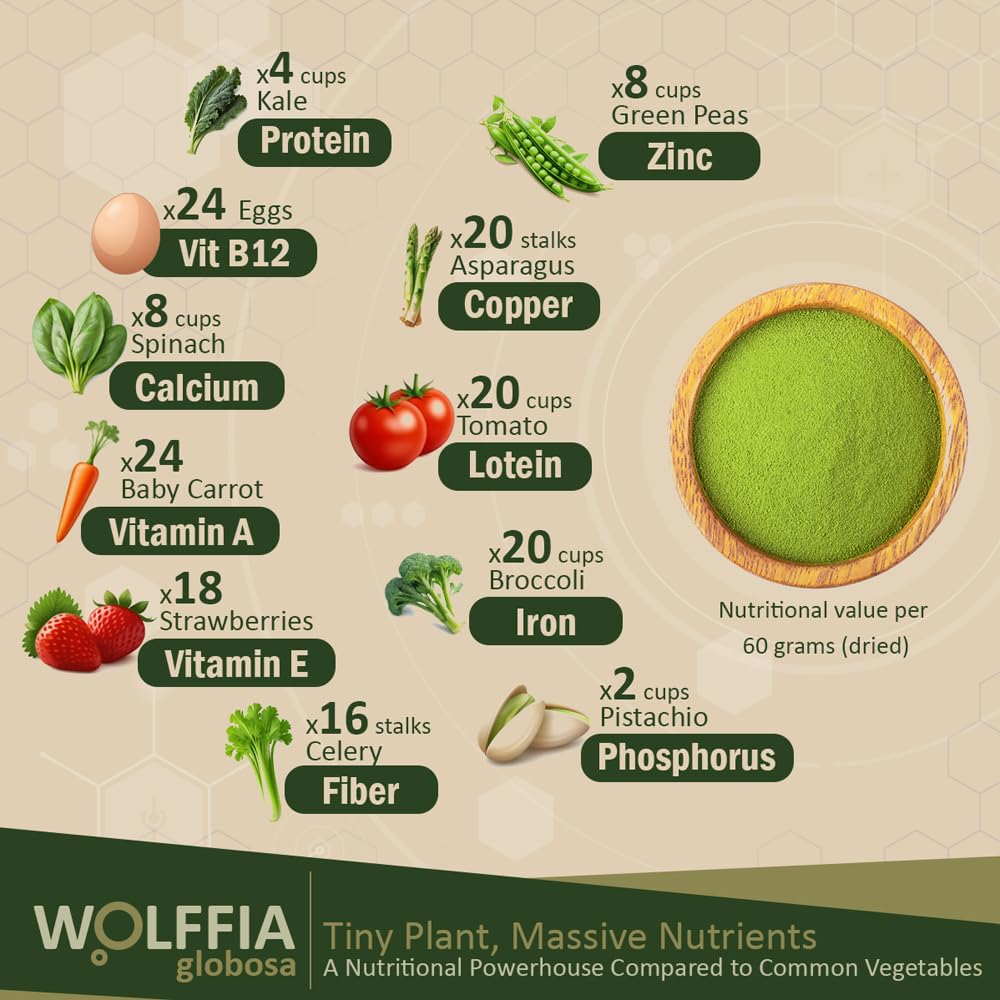 nutritious greens powders for smoothies