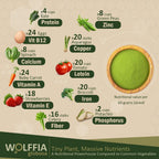 nutritious greens powders for smoothies