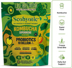 nutritious gut bites for energy