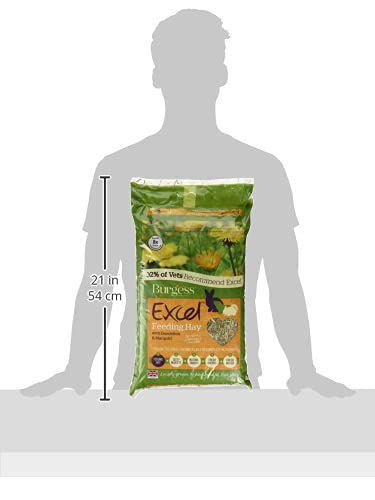 nutritious hay for pet rabbits