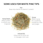 nutritious herbal detox tea