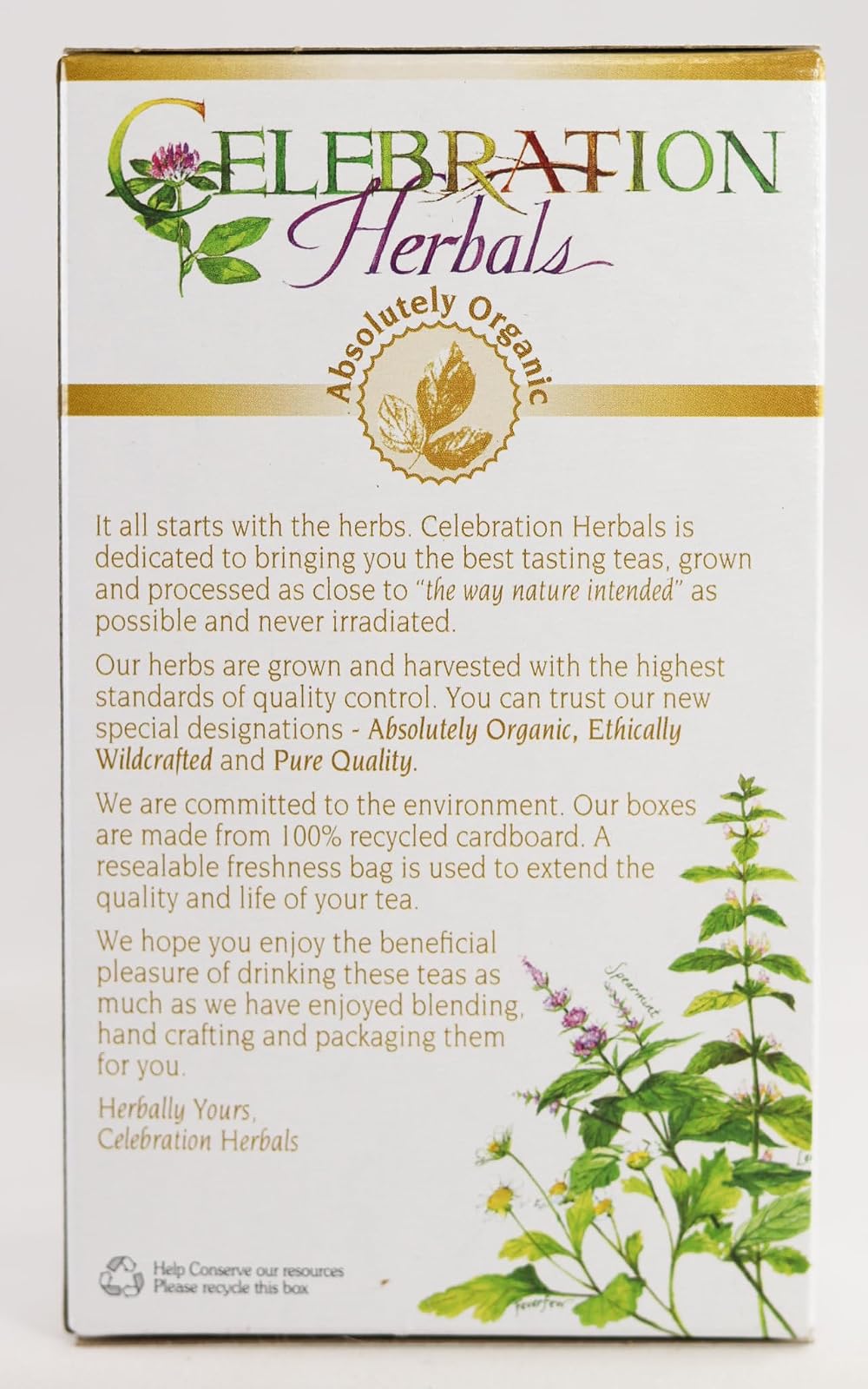 nutritious herbal infusion drink