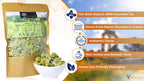 Nutritious herbal infusion for vitality
