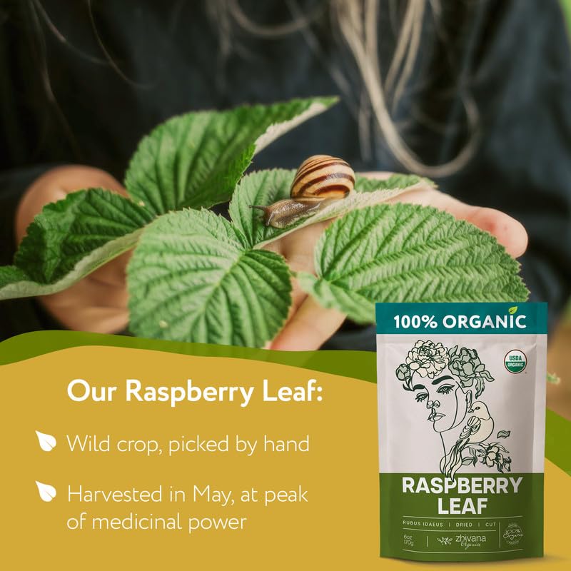 nutritious herbal tea blend