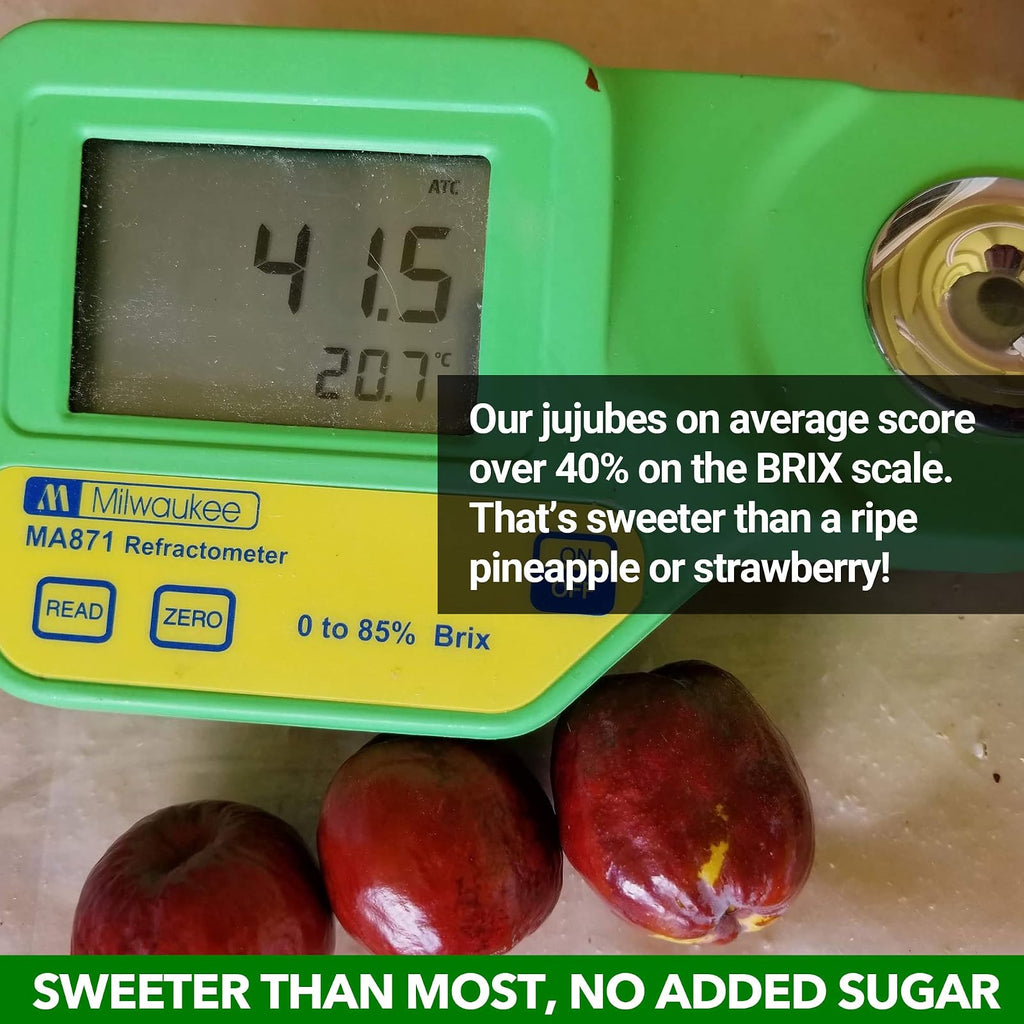 nutritious jujube tea concentrate pouch