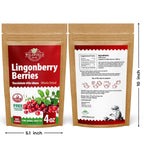 nutritious lingonberry tea for health