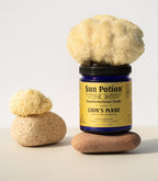 nutritious lion's mane superfood