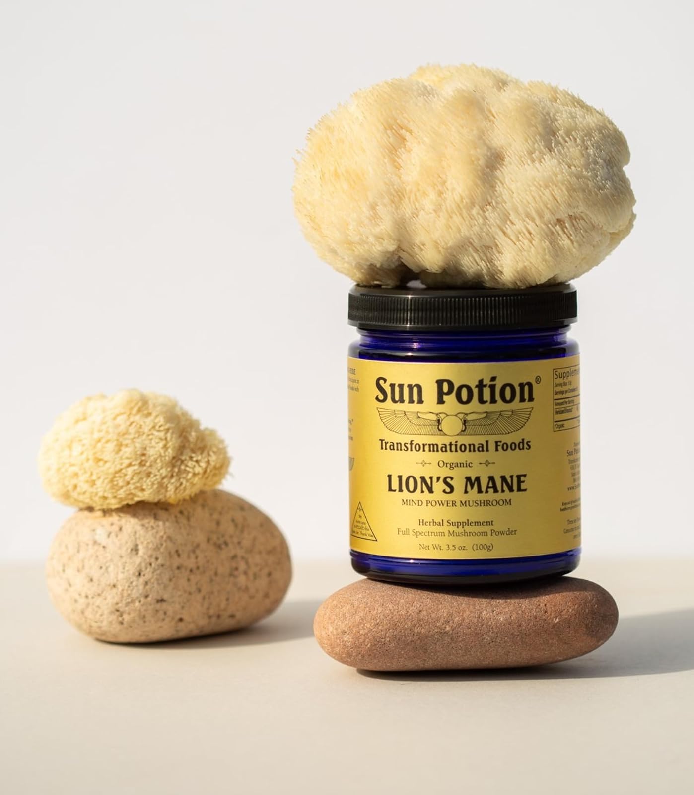 nutritious lion's mane superfood