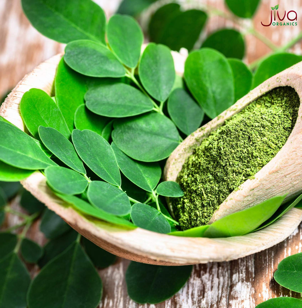nutritious moringa leaf supplement