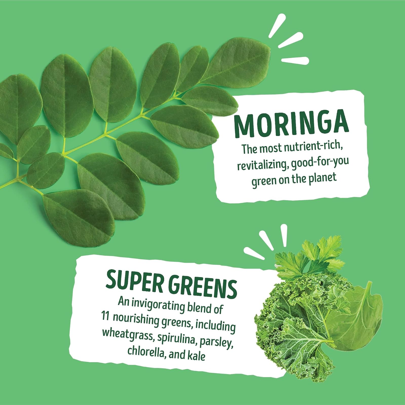 nutritious moringa powder energy supplement