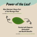 nutritious moringa powder for baking