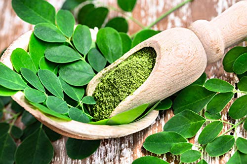 nutritious moringa powder for energy
