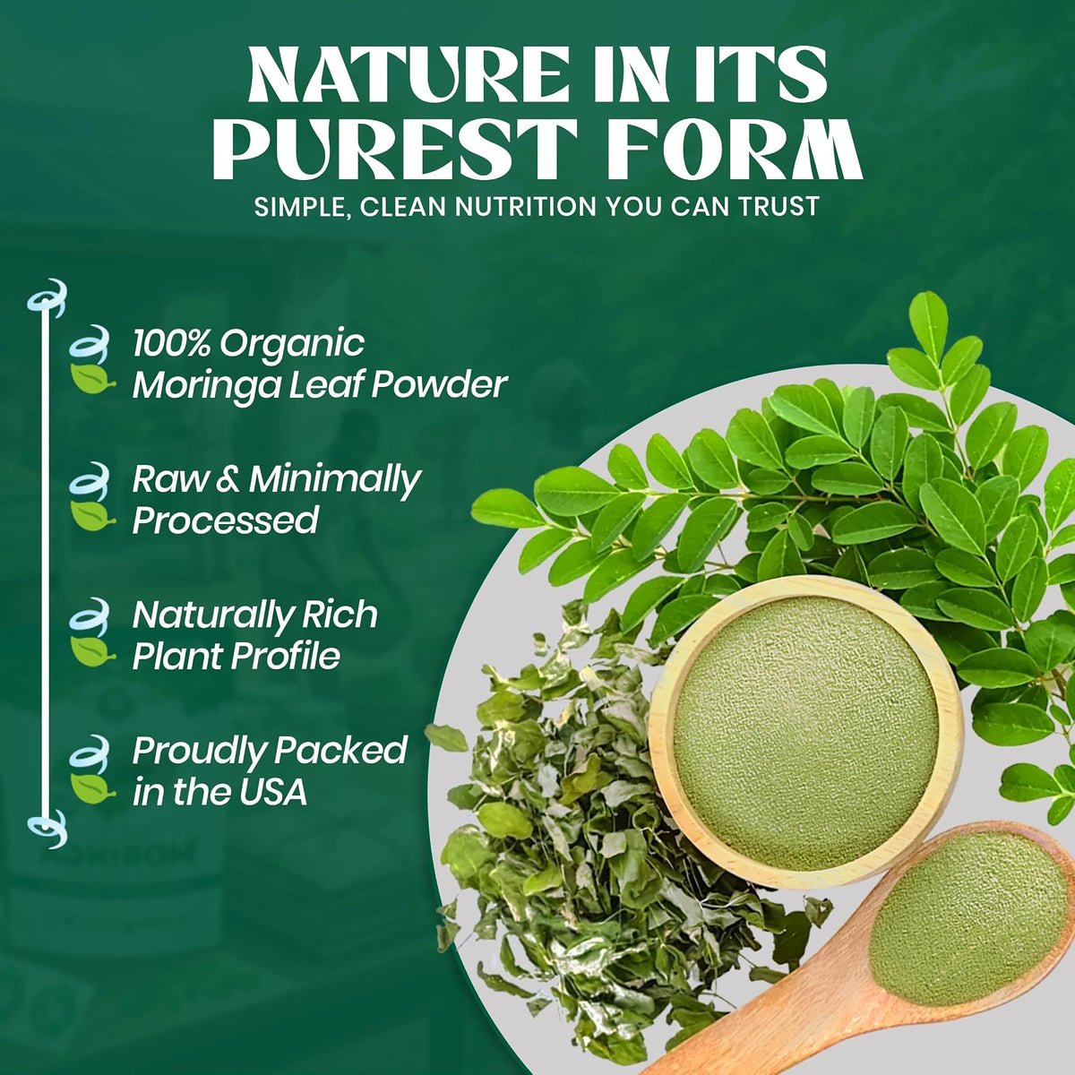 nutritious moringa powder for smoothies