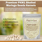 nutritious moringa seeds for health