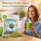 nutritious Moringa tea for energy