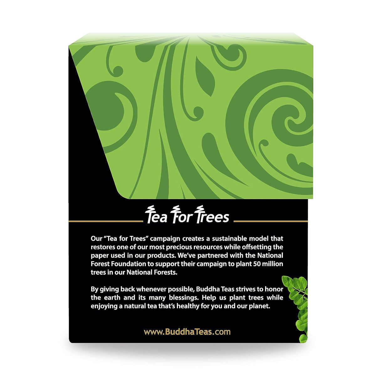 nutritious Moringa tea for wellness