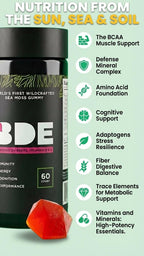nutritious multivitamin for seniors