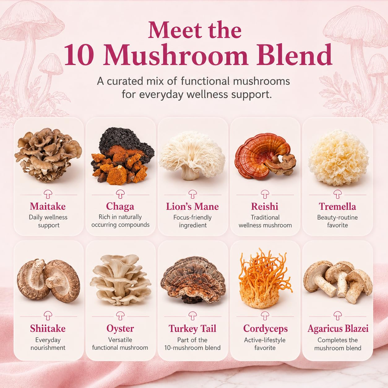 nutritious mushroom blends for energy