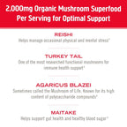 nutritious mushroom blends for vitality