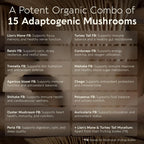 nutritious mushroom blends for wellness