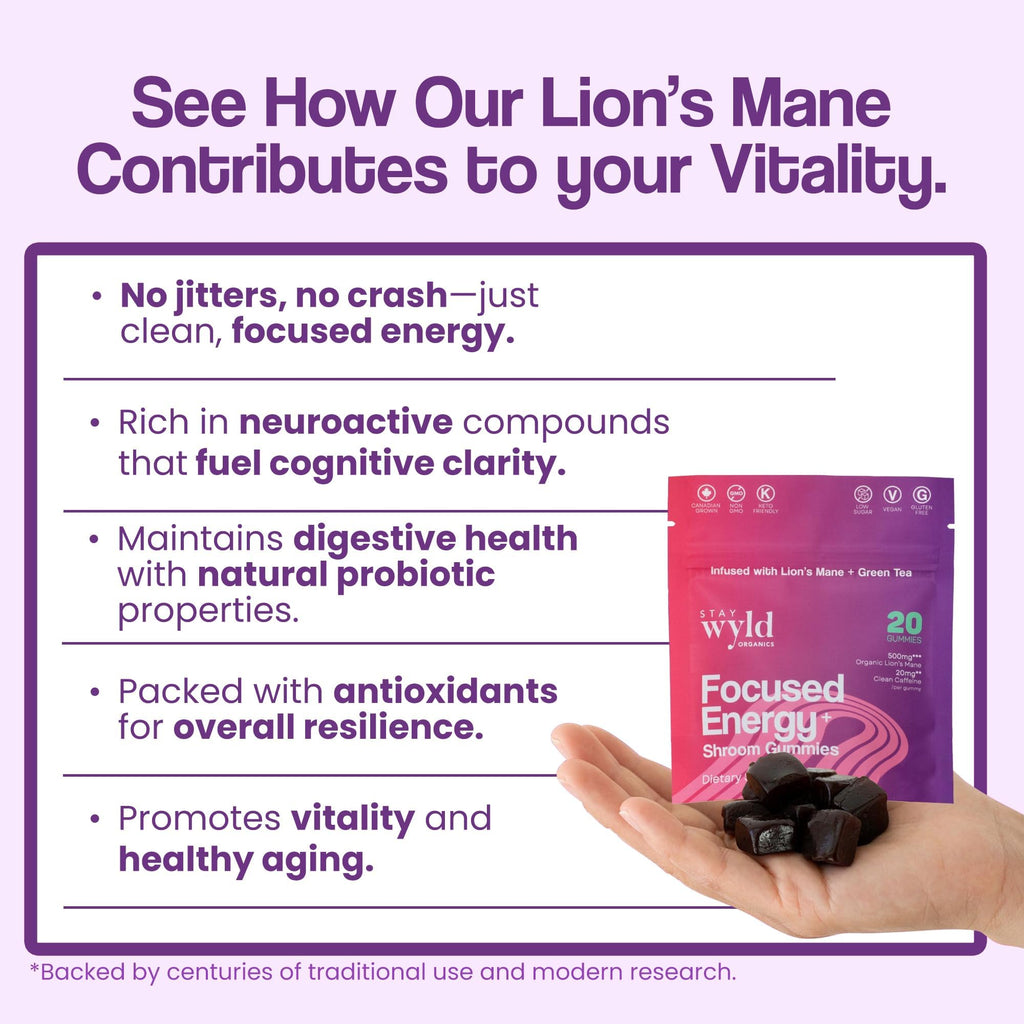 Nutritious mushroom gummies for busy lifestyles