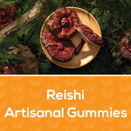 Nutritious mushroom gummies for health