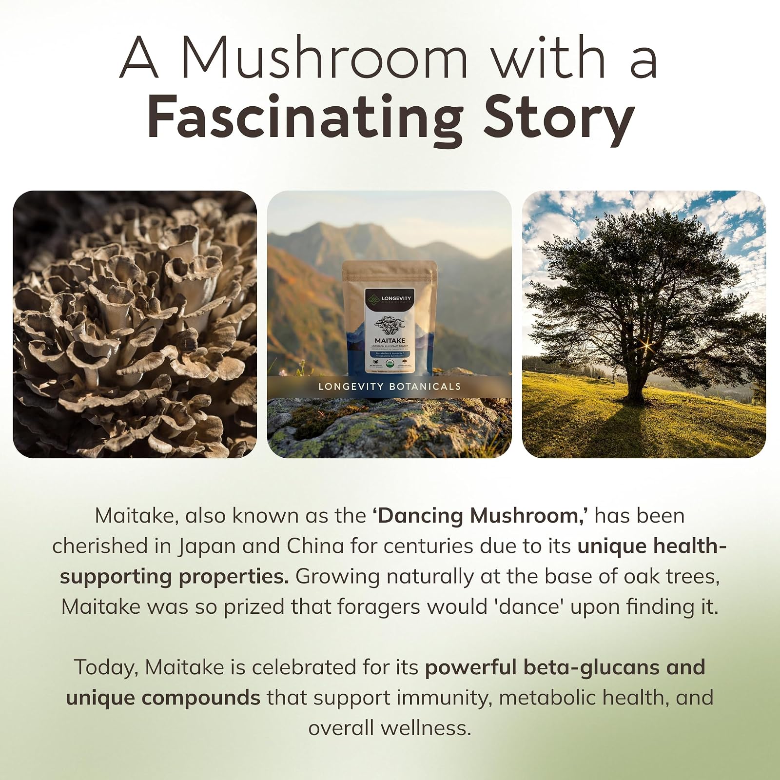 Nutritious mushroom powder for baking
