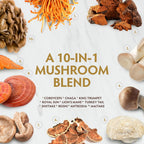 nutritious mushroom powder for energy