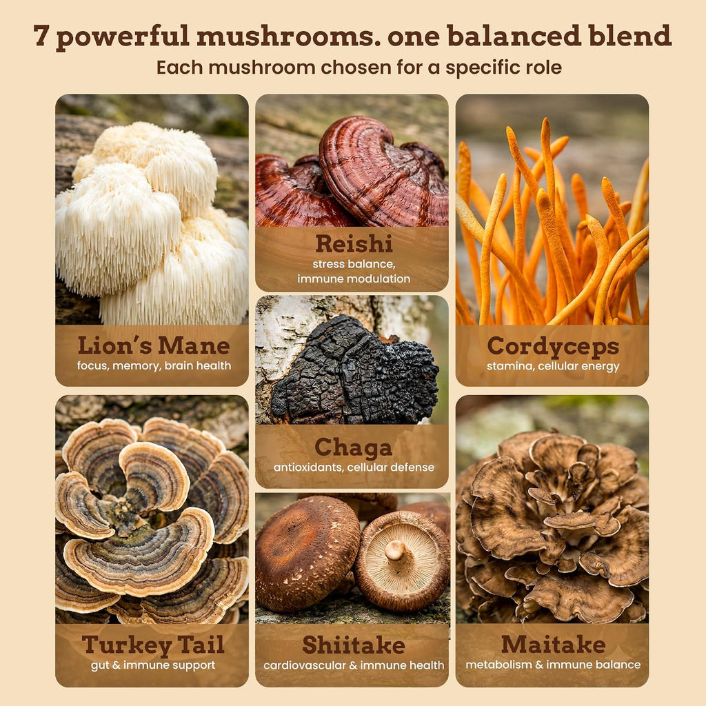 nutritious mushroom powder supplement
