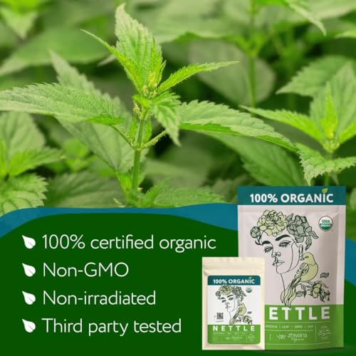 nutritious nettle herb for wellness