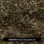 nutritious nettle leaf herbal remedy