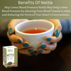 nutritious nettle leaf powder