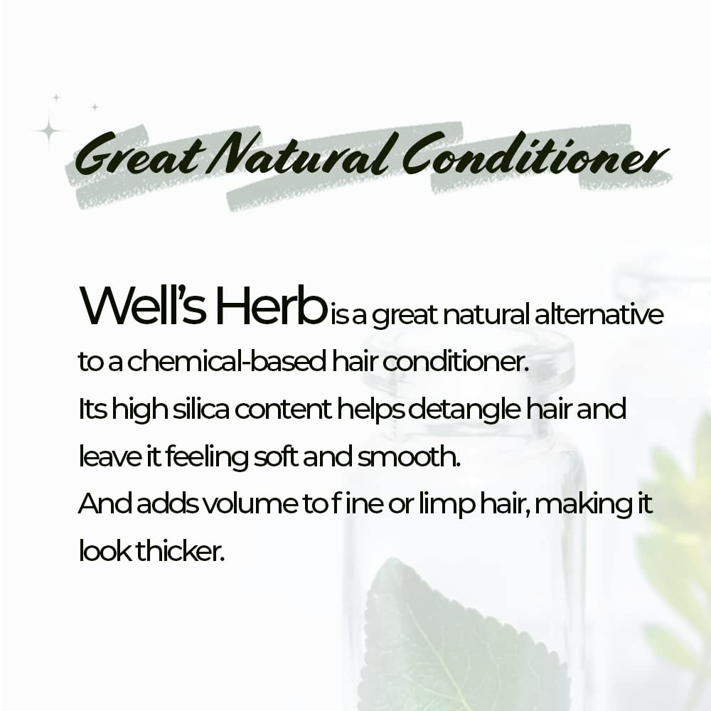 nutritious nettle leaf supplement