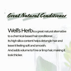 nutritious nettle leaf supplement