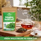 nutritious nettle tea for energy