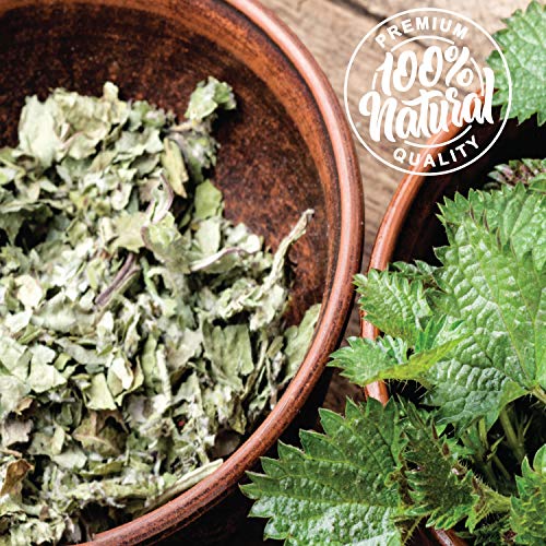 nutritious nettle tea for health