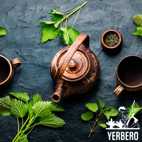 nutritious nettle tea for health