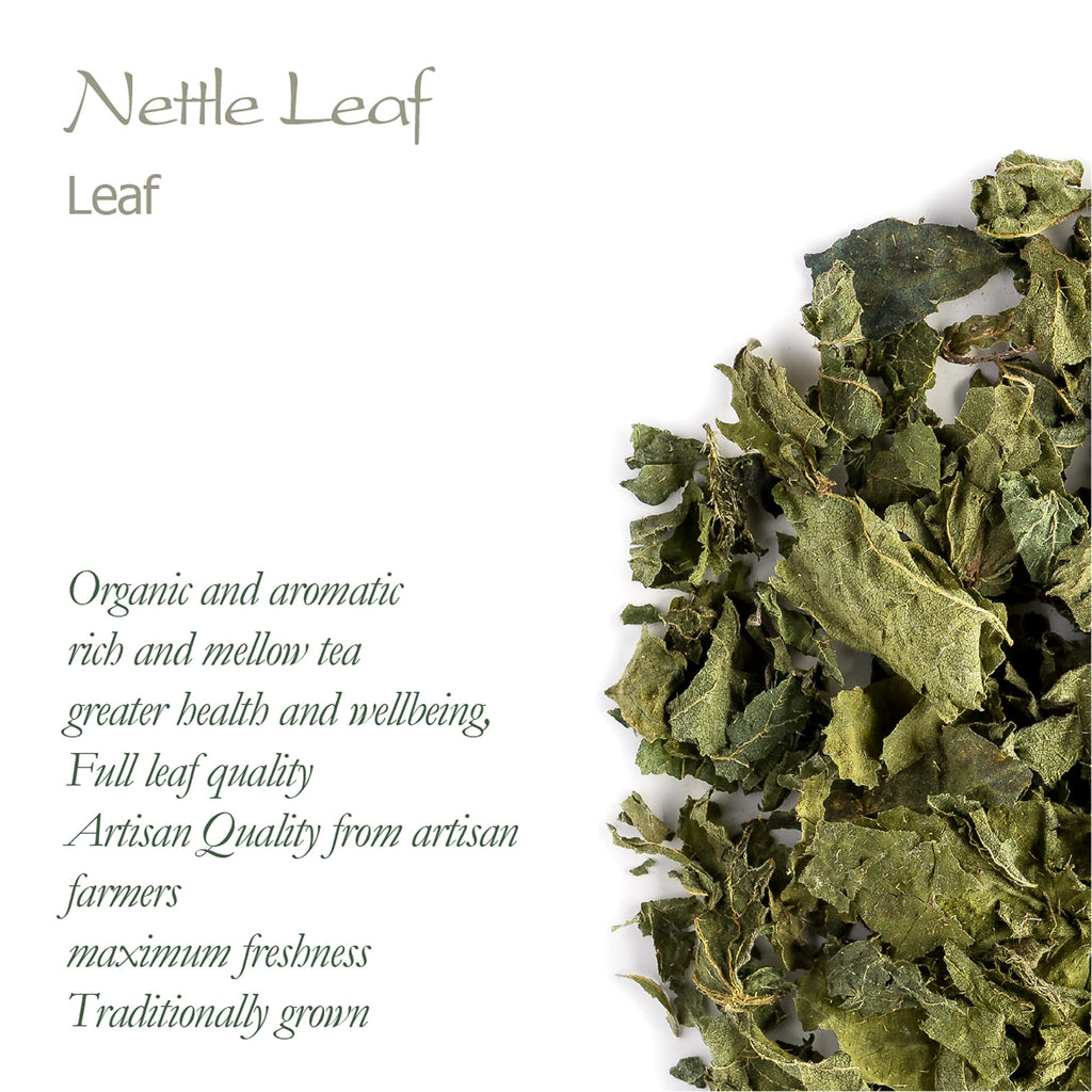 nutritious nettle tea for immune support