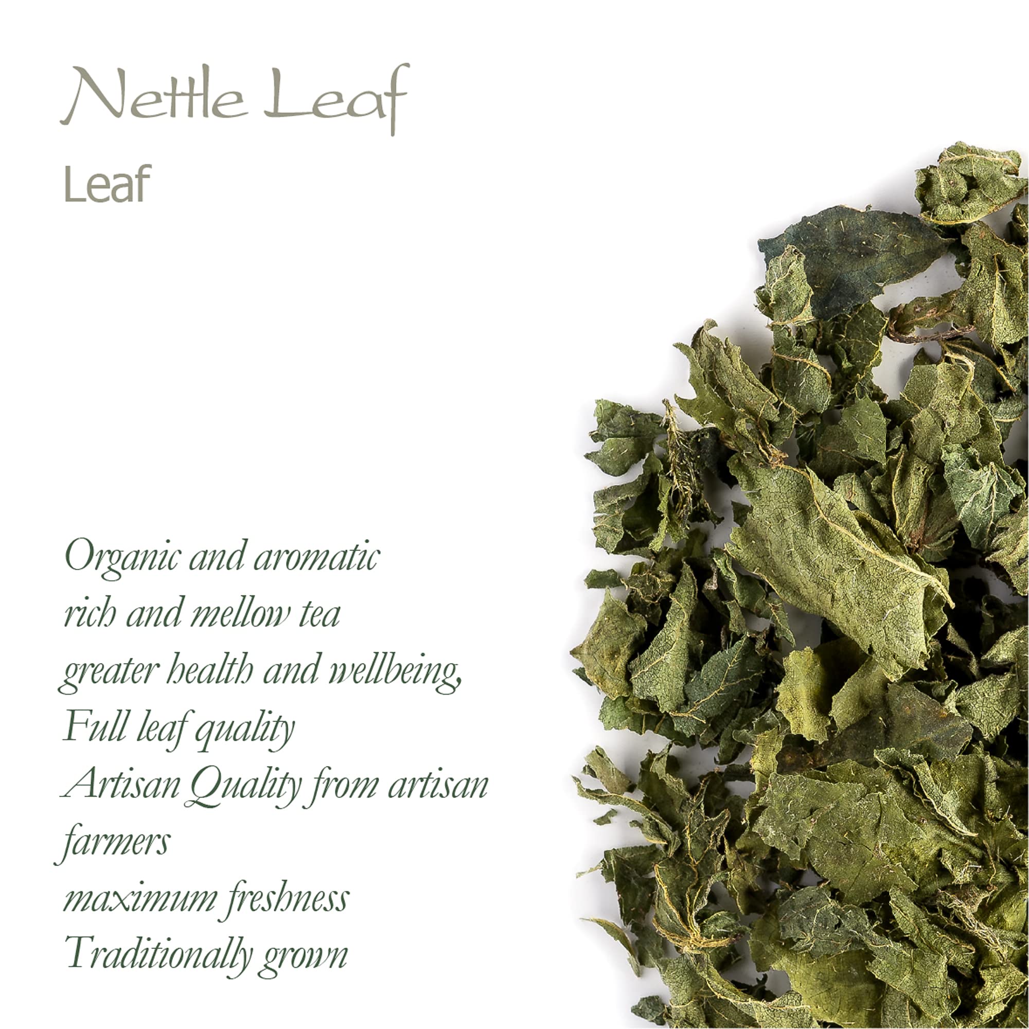 nutritious nettle tea for immune support
