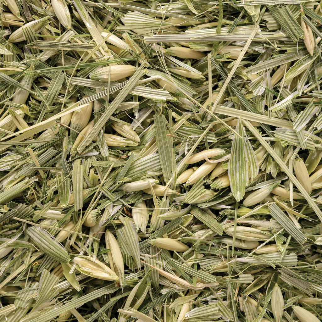 Nutritious oatstraw tea for wellness