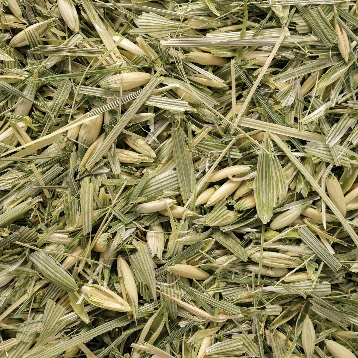 Nutritious oatstraw tea for wellness