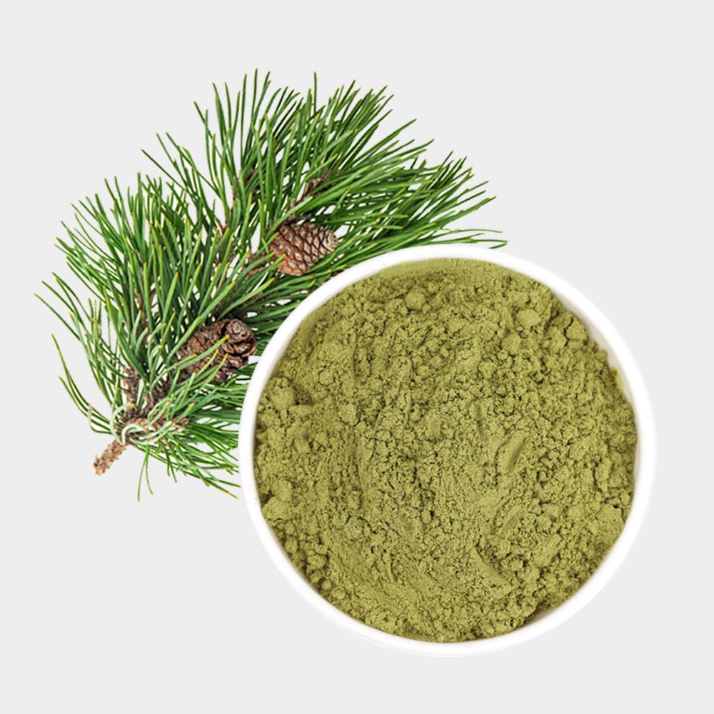 nutritious pine needle tea powder