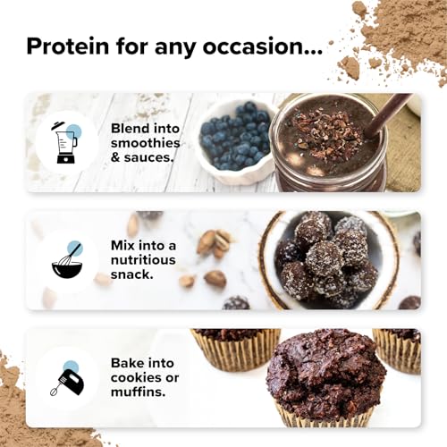 nutritious plant based protein powder