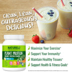 nutritious plant protein for smoothies