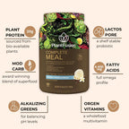 nutritious plant protein shake mix